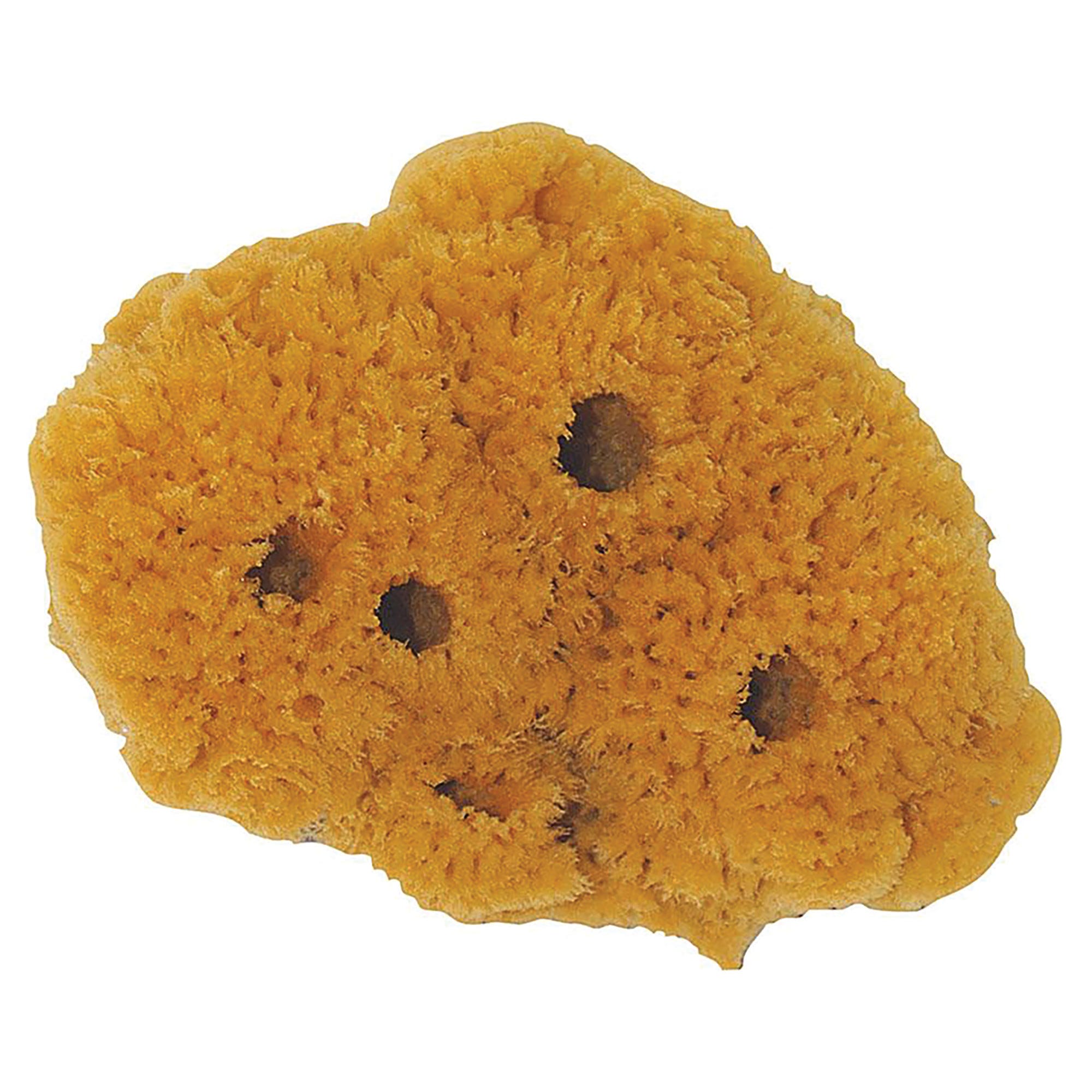 SPUGNA SEA MATRIX DECOR.IT EFFETTO DECORATIVO MARINO