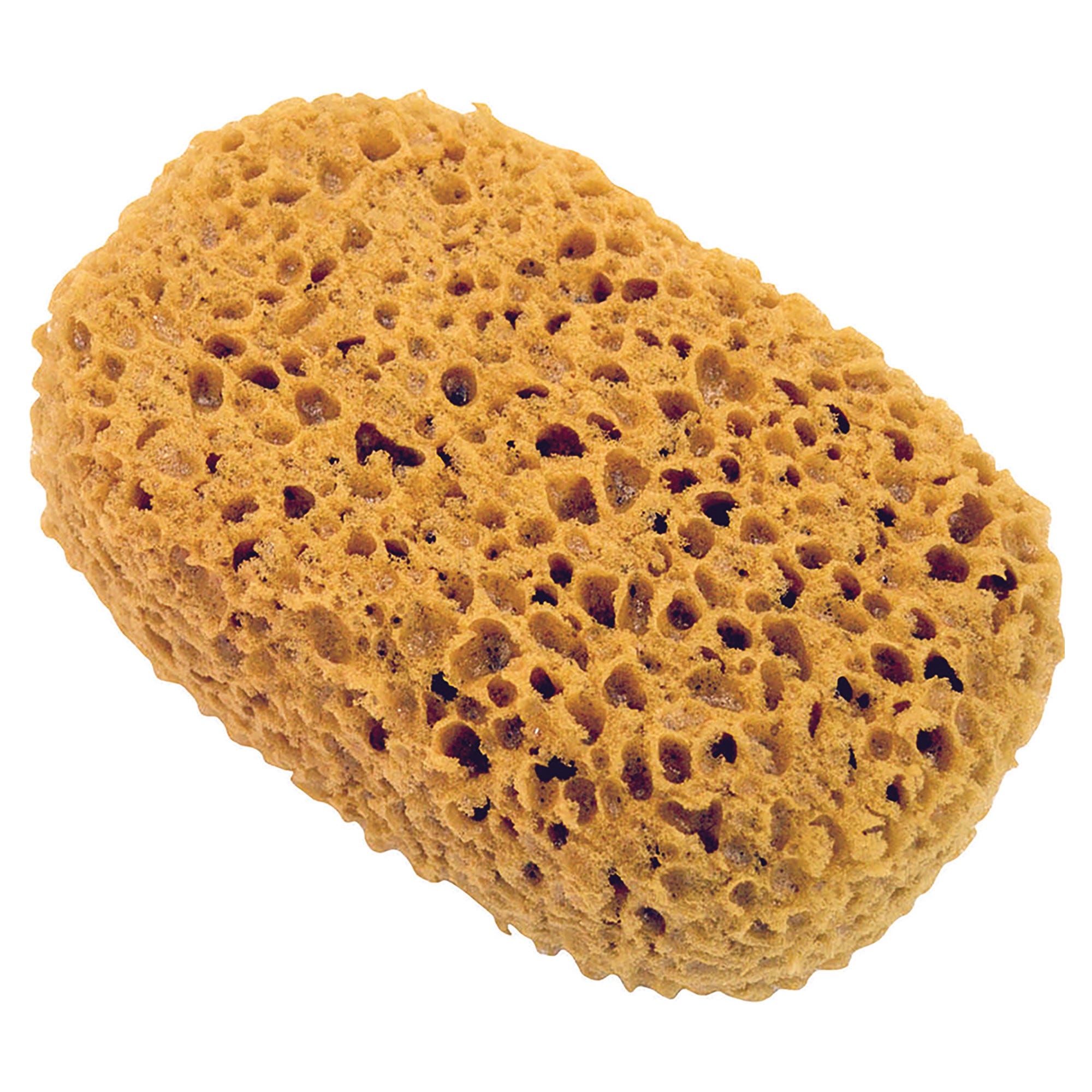 SPUGNA DEPHTS DECOR.IT PER EFFETTO DECORATIVO SPUGNATO