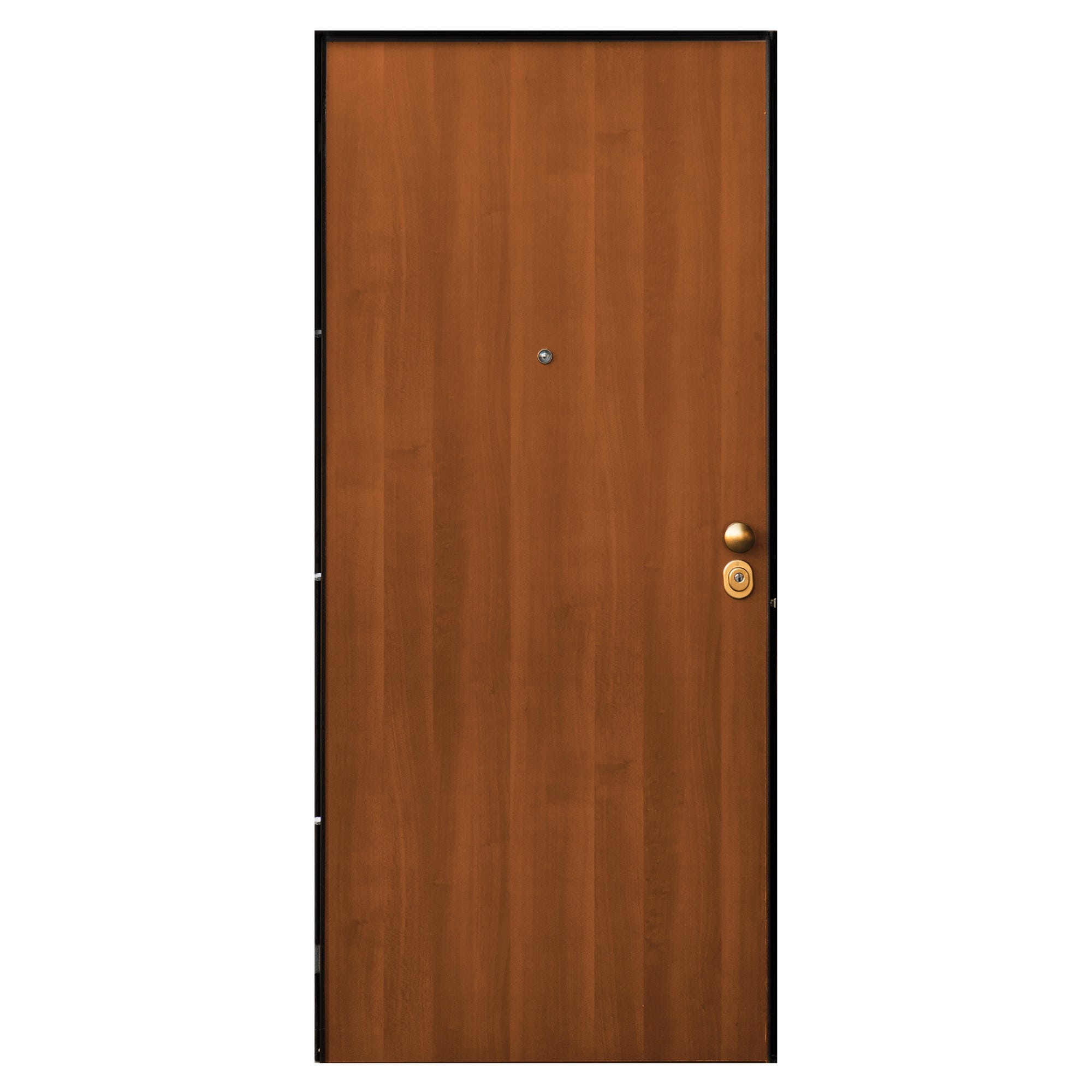 PORTA BLINDATA STEEL APERTURA SPINTA A SINISTRA 210x90 cm (HxL) | Tecnomat