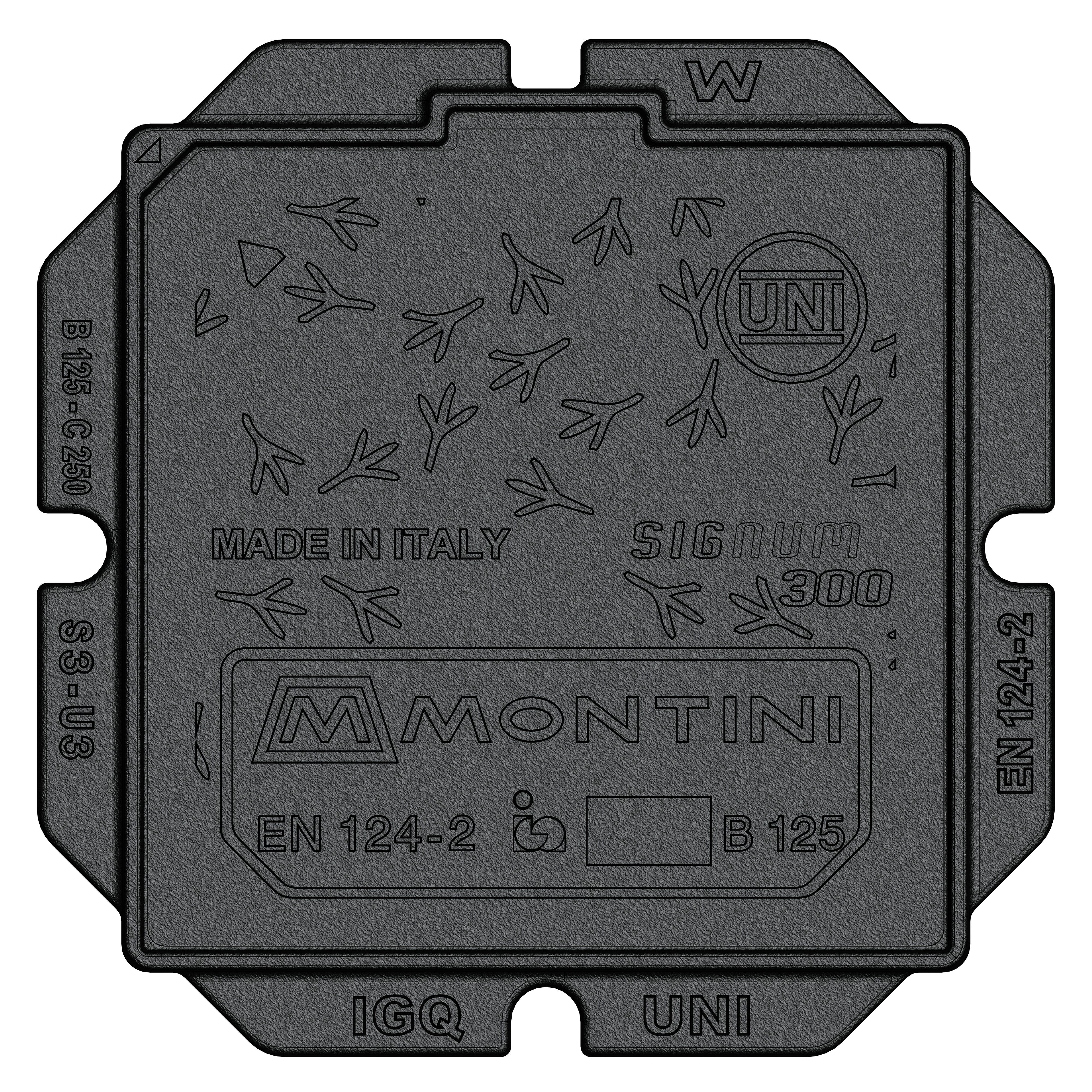 Pozzetti e Chiusini in Cemento, Plastica e molto altro | Tecnomat