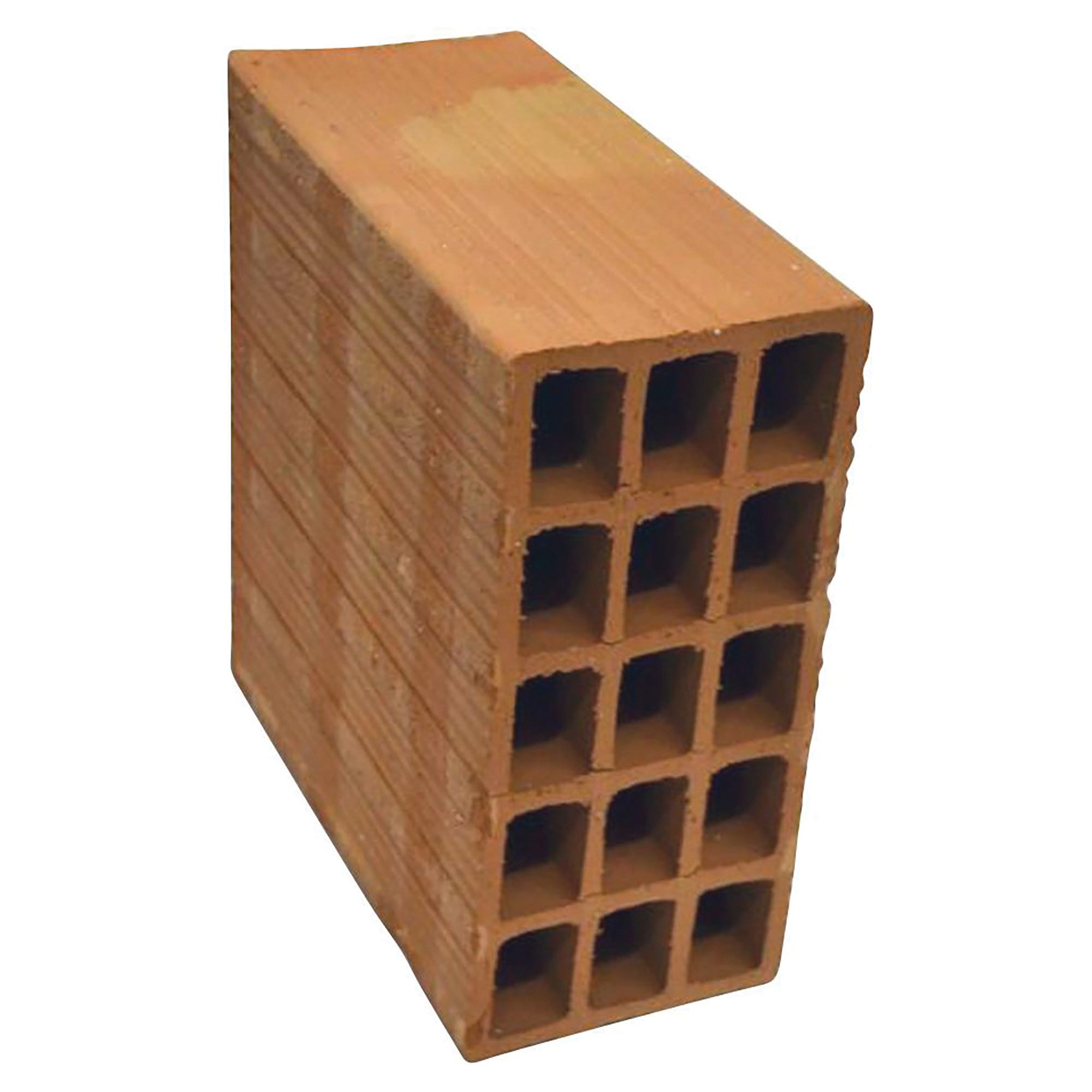 MATTONE FORATO 12x25x25 cm