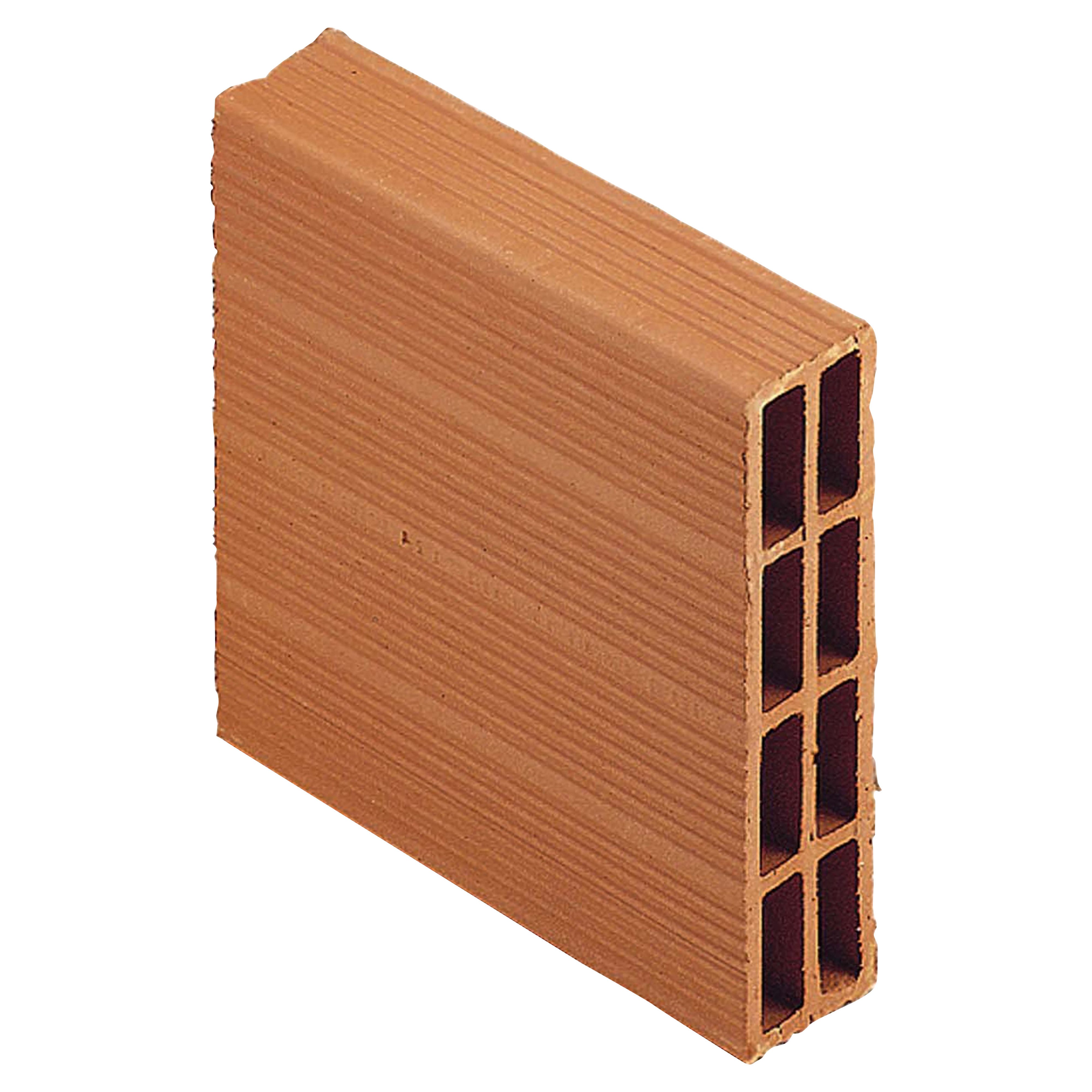 MATTONE FORATO 6x25x25 cm WIENERBERGER | Tecnomat