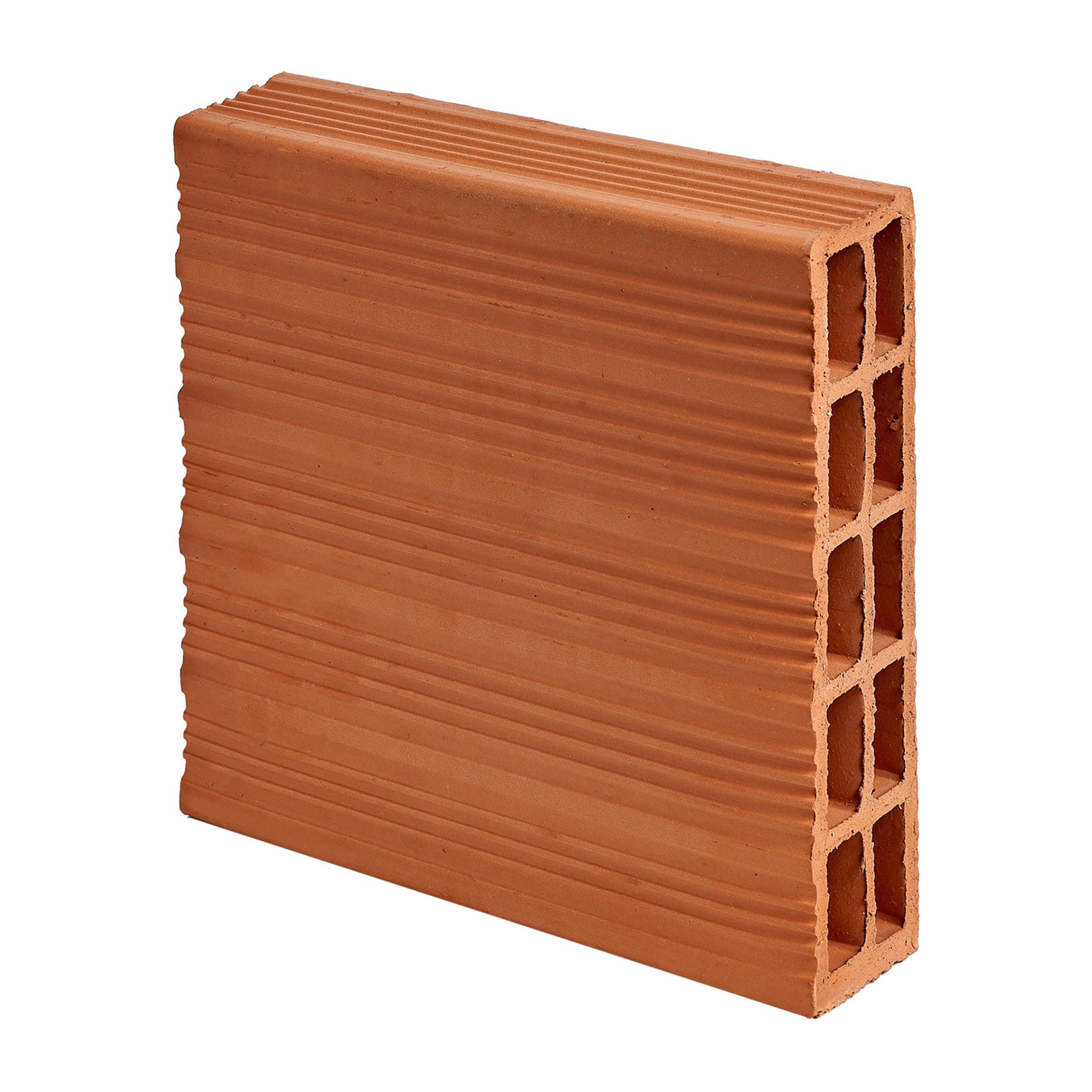 FORATO A 10 FORI FBM 6x25x25 cm | Tecnomat