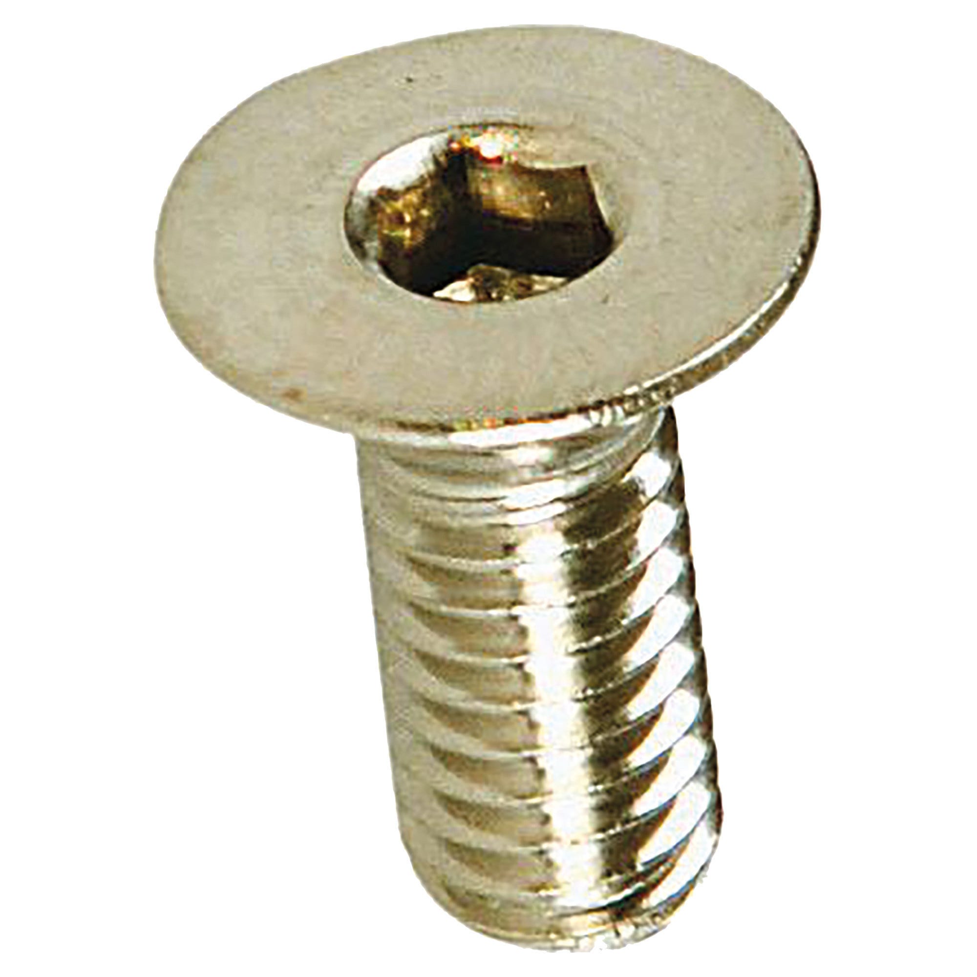 VITI TESTA SVASATA CIAS CAVA ESAGONALE M8x40 mm 2 PEZZI ACCIAIO INOX ...