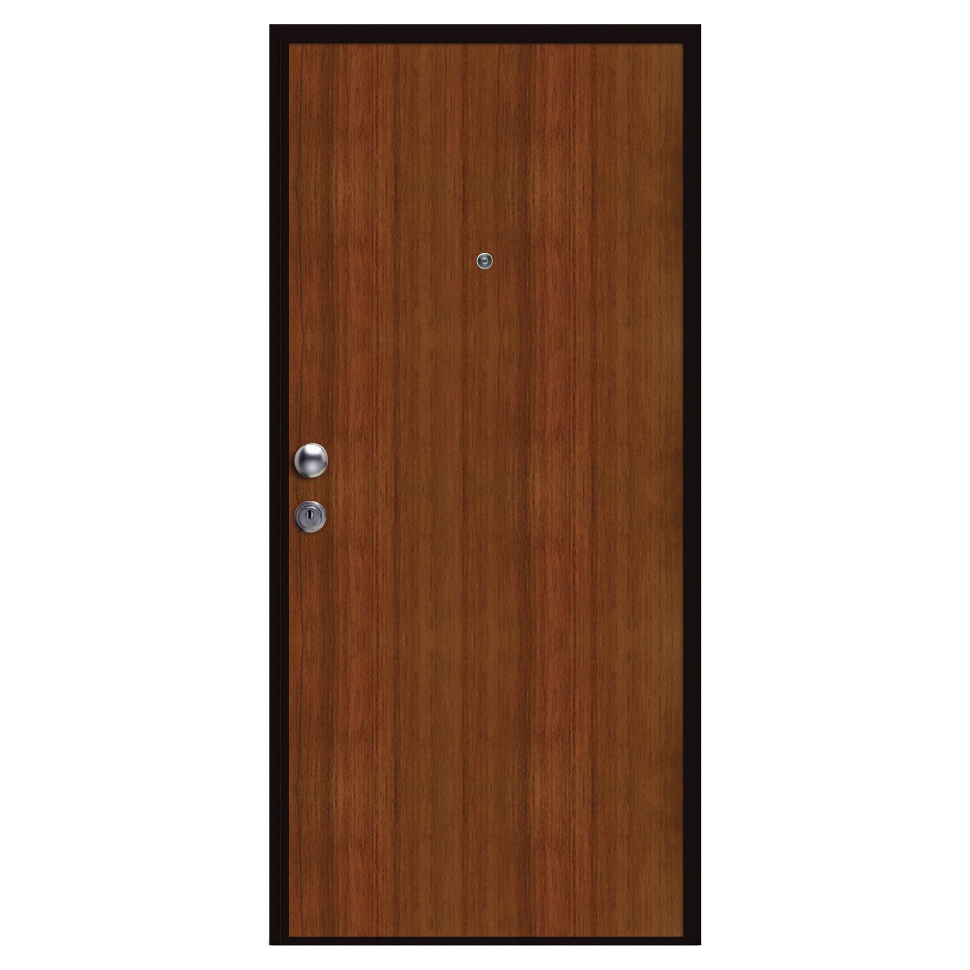 BLINDATA INSIDE DX 210X80 cm CL3 APERTURA SPINTA A DESTRA DA INTERNO ...