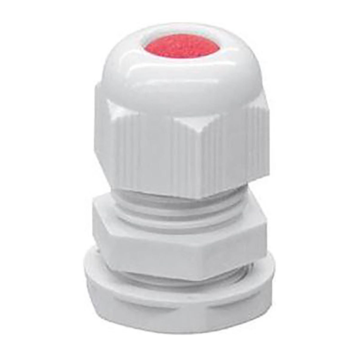 PRESSACAVO CON DADO PG21 IP68 5 PEZZI DOPPIA GUARNIZIONE | Tecnomat