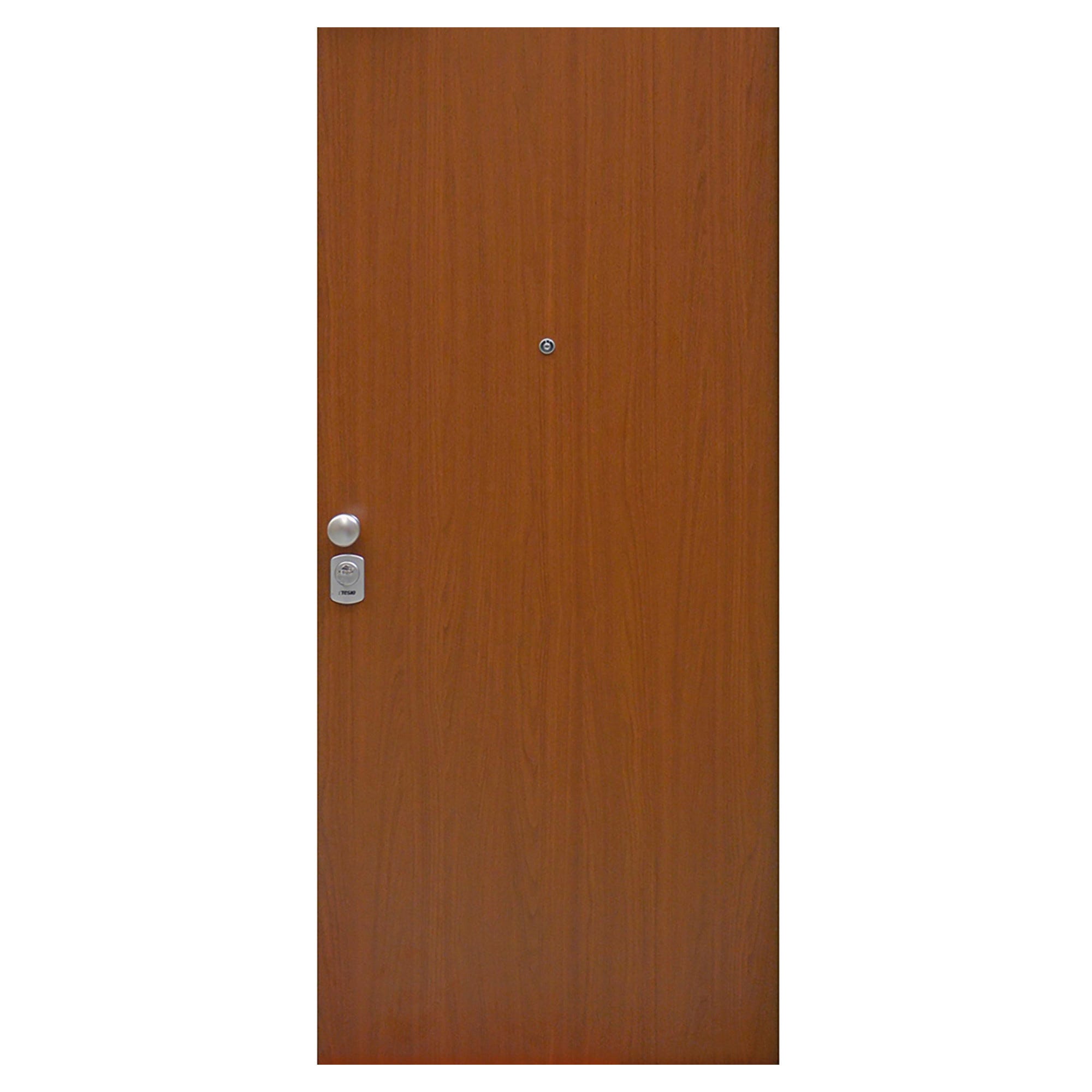 PORTA BLINDATA TESIO SCORPION CLASS APERTURA SPINTA A DESTRA 210x80 cm ...