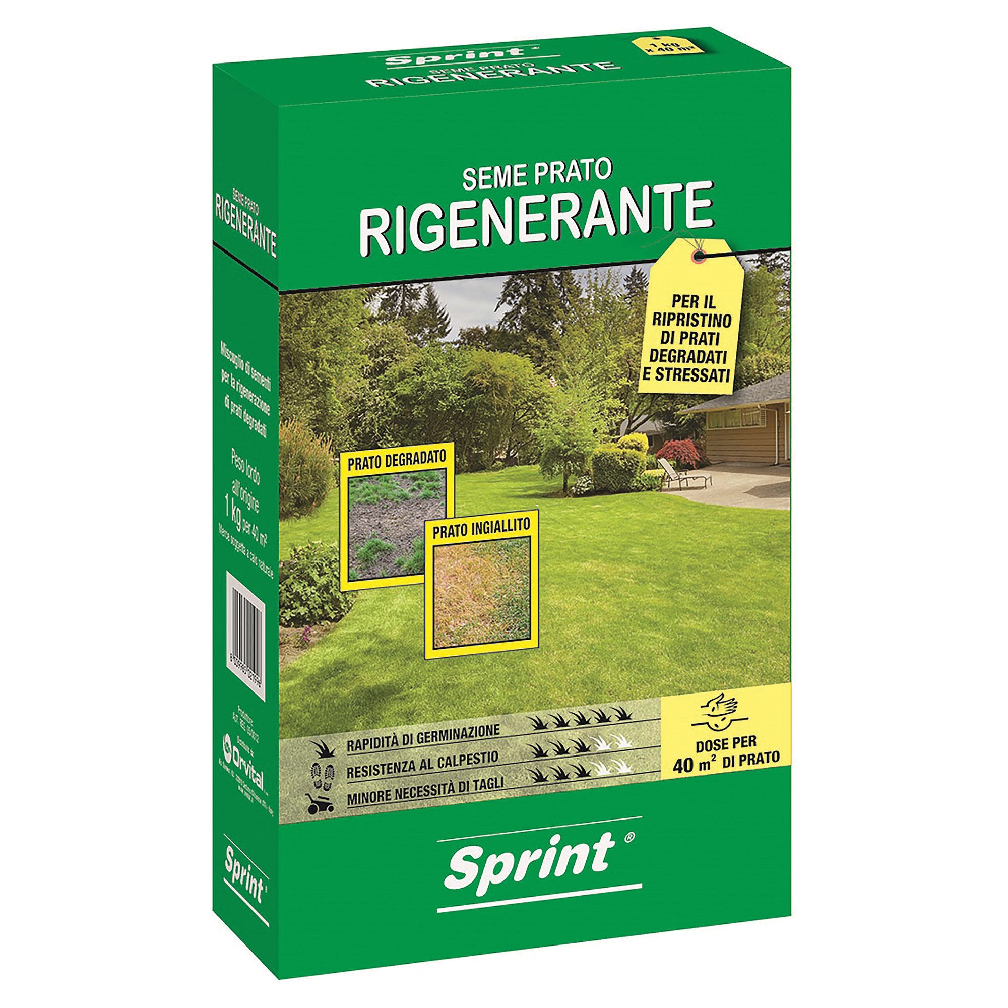 SEME PRATO RIGENERANTE SPRINT PER 40 m² 1 kg | Tecnomat
