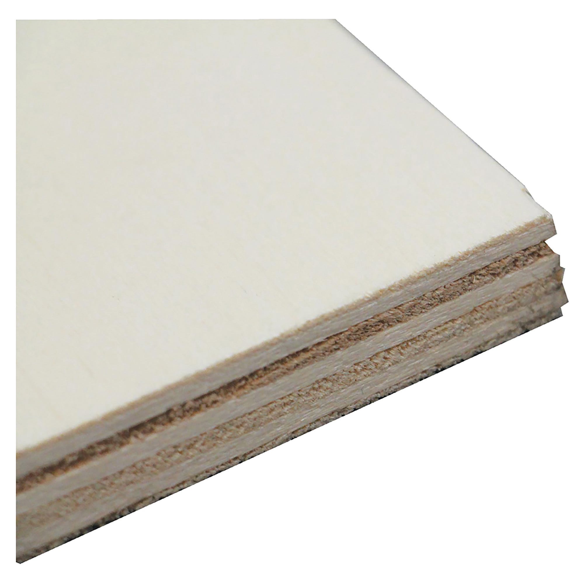 PIOPPO MONTE SPESSORE 10 mm 120x60 cm (HxL) | Tecnomat